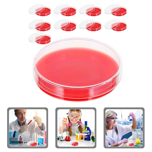 10 PCS OR Agar Plate Science Dishes Labs Growth Medium £19.95 - PicClick UK