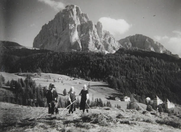 VAL GARDENA HARVESTING in Val Gardena 1930 Old Historic Photo EUR 6,26 ...