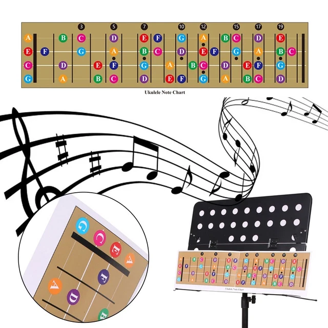FRETBOARD NOTE CHART Guitar Fretboard Note Chart Color Coded Plastic ...