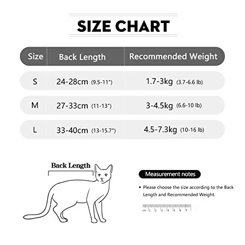 HEYWEAN BODY POUR Chat Body Chat Post Operatoire Body Chaton ...