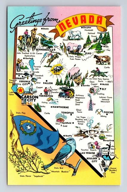 PICTORIAL TOURIST MAP State Flag Bird Flower Greetings from Nevada NV ...