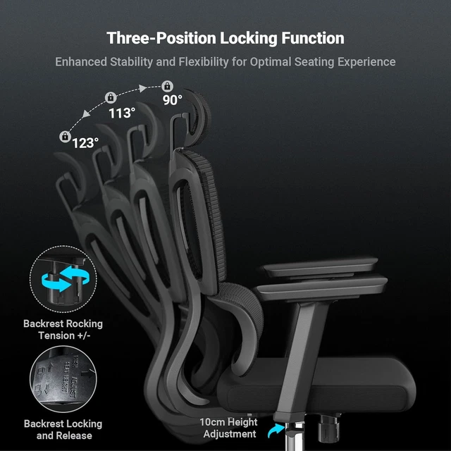 MELOKEA RELIEFBACK ERGONOMIC Office Chair with Auto-chasing Lumbar ...