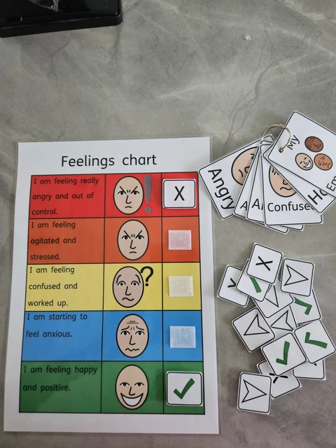 FEELINGS CHART WITH pecs and 5 emotions cards. Autism, ADHD, SEN. £6.00 ...