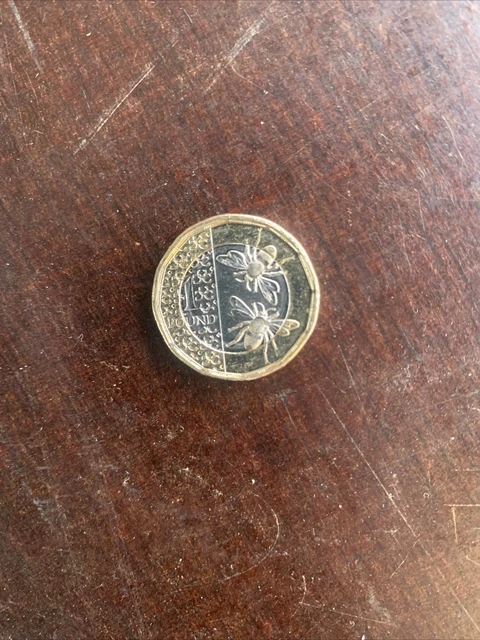 2025 KING CHARLES Wasp Pound Coin £10.00 - PicClick UK