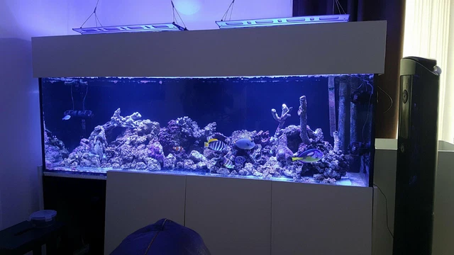 6FT FISH TANK nd aquatics tank 6x2x2 with heavy duty custom steelstand ...