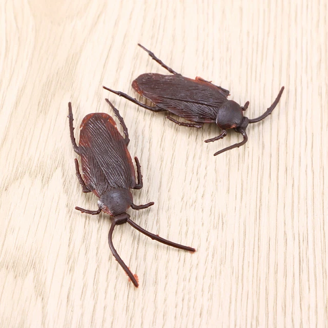 FALSO SCARAFAGGIO IN movimento insetti spaventosi trucco scherzo ...