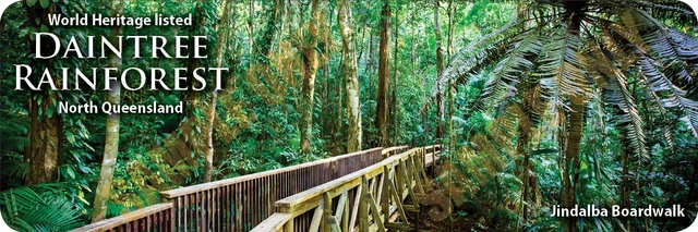 WORLD HERITAGE LISTED Daintree Rainforest Jindalba Boardwalk Bumper ...