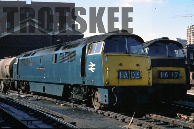 35MM SLIDE BR British Railways Diesel Loco Class 52 D1059 1972 Original ...
