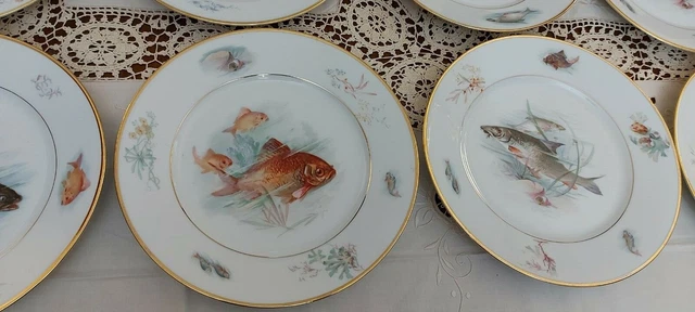 SERVIZIO PIATTI DA11 Da Tavola Porcellana Pesce Richard Ginori Pittoria ...