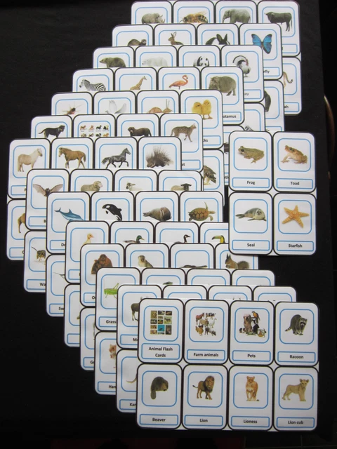 ANIMAL PICTURE CARDS Autism/ADHD/Visual Communication Aids/PECS/SEN ...