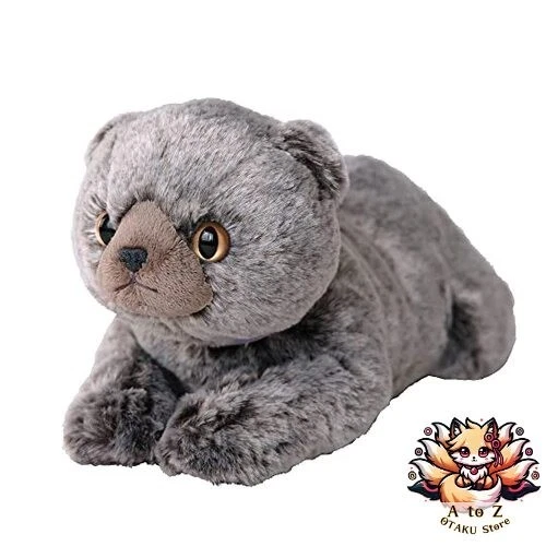NEW SUN LEMON Lap Cat Plush Scottish Fold Gray (M) 33cm Stuffed Animal ...