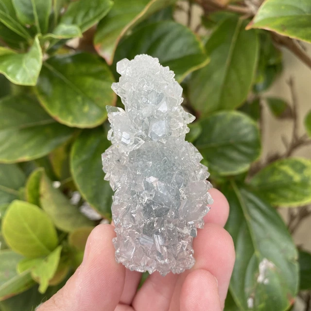EXTREMELY RARE APOPHYLLITE Crystal Stalactite Cluster - VERY HIGH GRADE ...