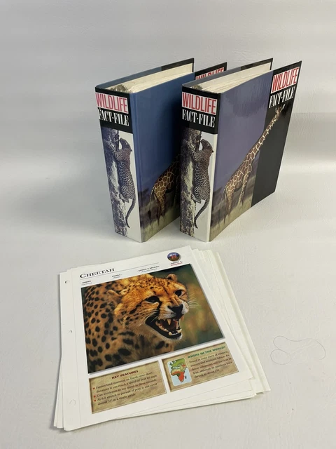 VINTAGE WILDLIFE FACT File Cards 2 Binders 300+ Cards Groups 1-11 ...