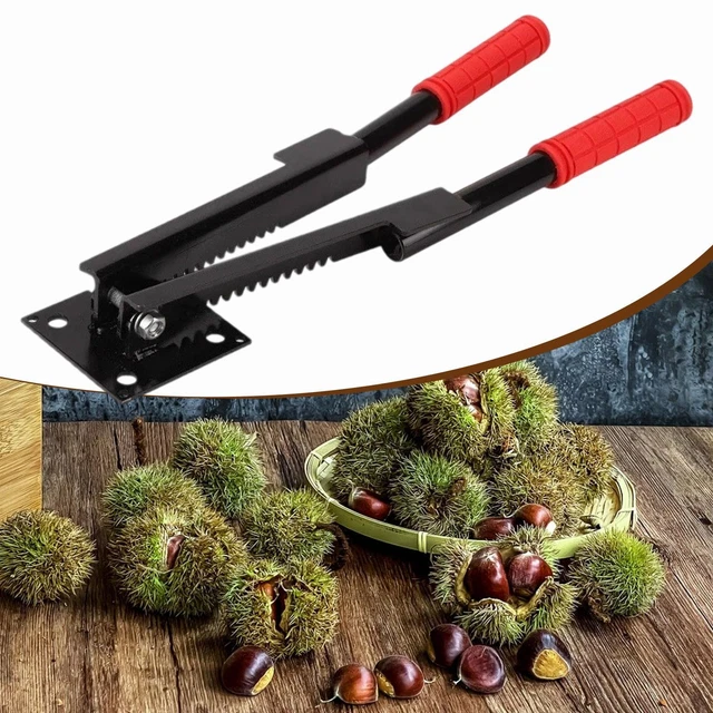 CHESTNUT BURR REMOVER Kitchen Tool Chestnut Burr Peeling Artifact £15. ...