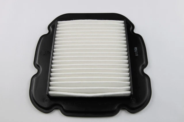 SUZUKI GENUINE V-STROM DL1000 2002 - 2010 Air Filter 13780-06G00-000 £ ...