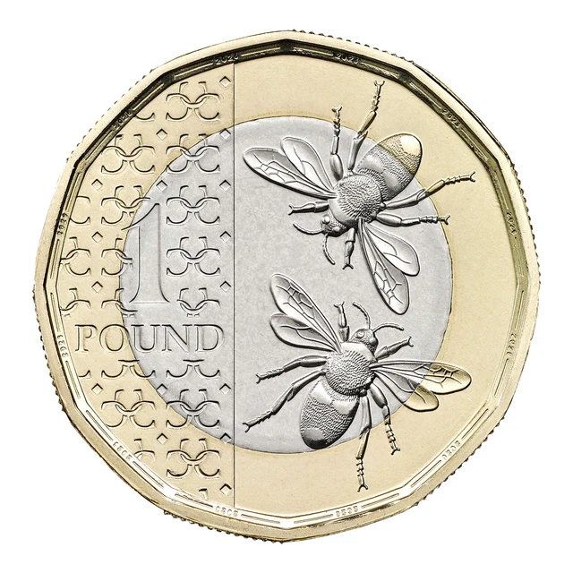2026 BEES 1 One Pound Coin Brilliant Uncirculated Bu Bunc £22.50 ...