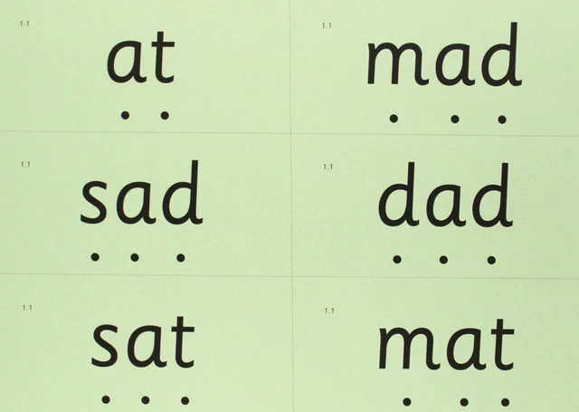 READ WRITE INC. Phonics Green Word Flashcards (6 Brand New Packs) £55. ...