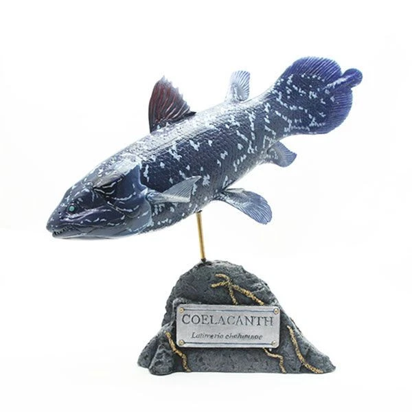 KAIYOUKOUBOU COELACANTH REAL coelacanth figure Fish carving NEW From ...