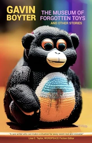 THE MUSEUM OF Forgotten Toys: and other stories - Paperback NEW Boyter ...