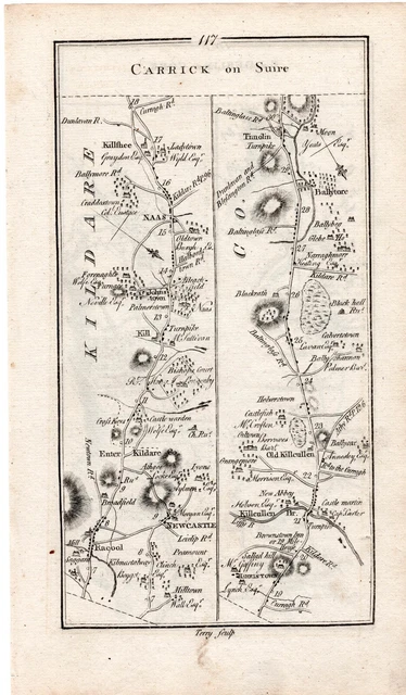 TAYLOR SKINNER IRELAND Map Rathcoole Naas Timolin Carlow Gowran ...
