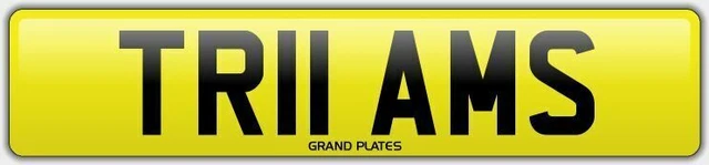 TRAM TRAMS NUMBER plate TR11 AMS CHERISHED REGISTRATION TRAMMY TRAM ...