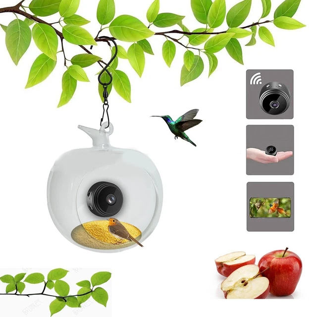CONNECT AND OBSERVE Bird Feeding Activity with Feeder £26.08 - PicClick UK