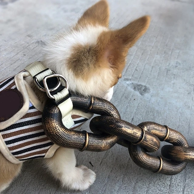 PET WALKING LONG Leash Accessory Funny Iron Chain Photo Props ...