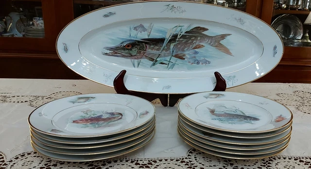 SERVIZIO PIATTI DA11 Da Tavola Porcellana Pesce Richard Ginori Pittoria ...