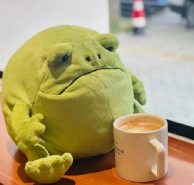 LIMITED LARGE JELLYCAT Ricky Frog Plush,Rare Grumpy Style UK, Kids ...