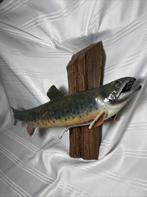 BROOK TROUT TAXIDERMY Fish Mount Driftwood Wall Art Vintage 15” Fins ...
