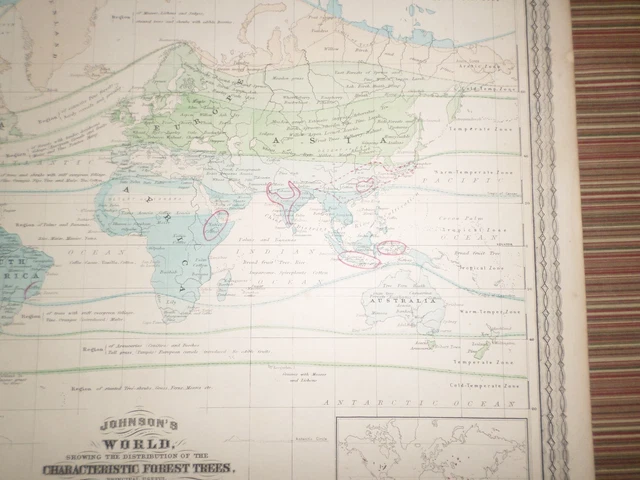 LARGE JOHNSON'S MAP of the World (1867) A.J. Johnson, New York £55.38 ...