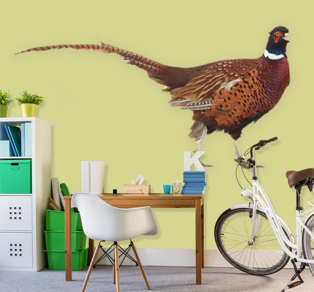 3D PHEASANT FEATHER G146 Animal Wallpaper Mural Poster Wall Stickers ...