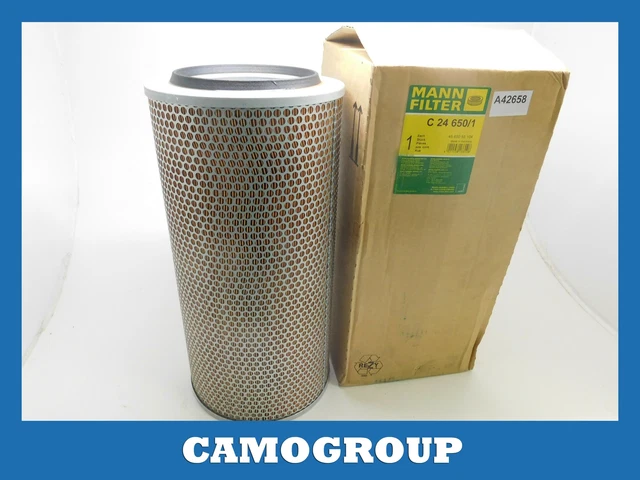 FILTRE À AIR Mann Filter Pour IVECO C24650/1 EUR 49,38 - PicClick FR