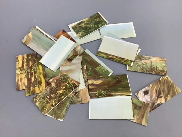 FULL SET OF Wills Mother and Son Cigarette Cards 48 Cards $22.00 ...