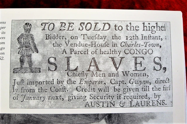 DÉDIÉ À TRUE Virginia Woolf's : Orlando : Gordon/Dawn Langley Pepita ...