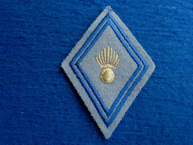 FRENCH ARMY LOZENGE Badge, Materials, Outside Instruction Unit Arm ...