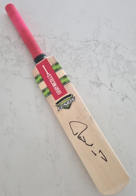 MATTHEW HAYDEN SIGNED Grey Nicolls Mini Cricket Bat Australian Legend ...