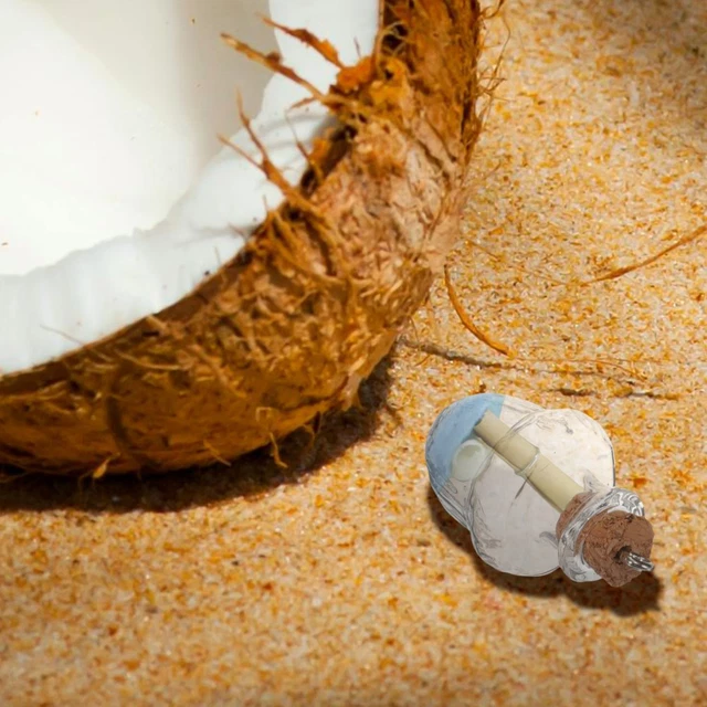 10 PCS SMALL Glass Bottle Mini Bottles with Lids Wishing Hanging ...