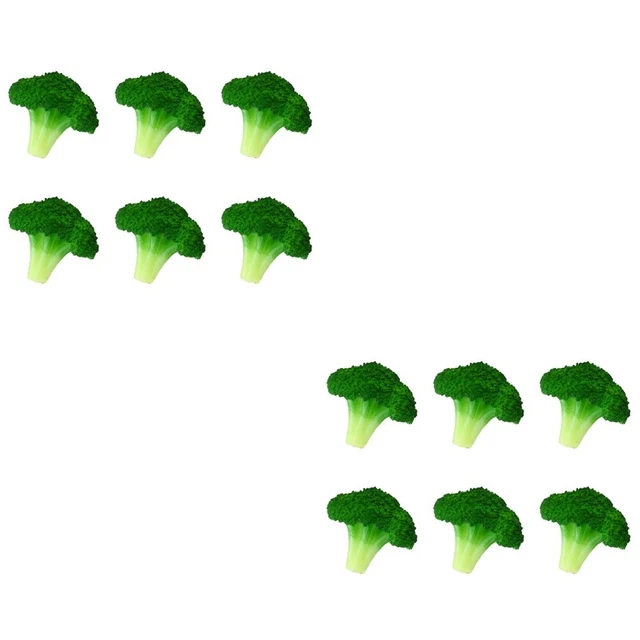 12 PCS FAKE Broccoli Slice Home Fake Food Decor Shop Display Food Model ...