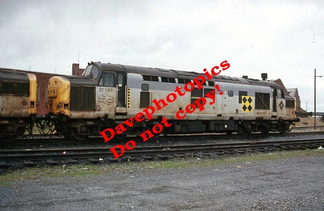 ORIGINAL 35MM Slide Diesel/Electric Train / Railway 37165 Ayr TMD April ...