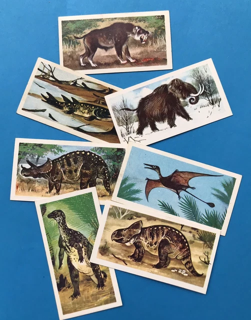 BROOKE BOND TEA Cards: Prehistoric Animals £5.00 - PicClick UK