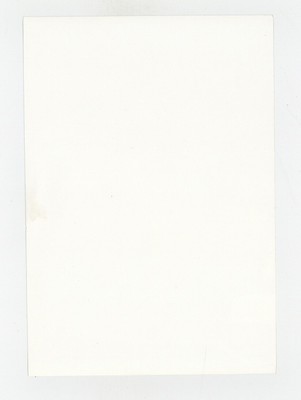 ROXY ROXANNE BREWER 1970s Big Boobs 5x7 Photo Gorgeous Voluptuous ...