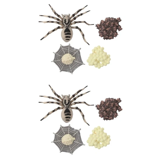 TOYS TARANTULA FIGURINE Life Cycle Of Spider Life Cycle Figures £11.58 ...