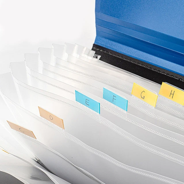 FILING SYSTEM ORGANIZER for Home Office Expandable Folder with Dividers ...