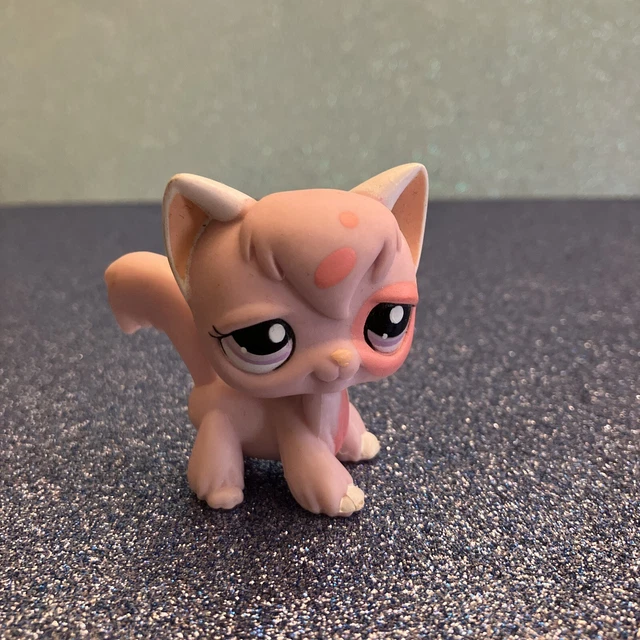 LITTLEST PETSHOP CHAT Angora # 1726 Yeux Violet LPS PET SHOP EN LOOSE ...