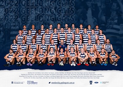 2022 GEELONG CATS Team Poster,Afl Football Bulldogs Tigers Melbourne ...