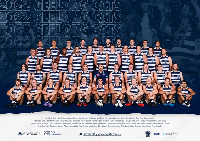 2022 GEELONG CATS Team Poster,Afl Football Bulldogs Tigers Melbourne ...