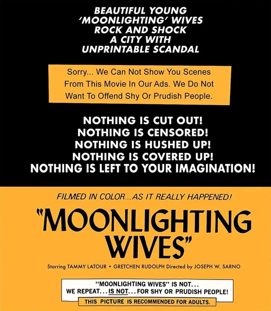 MOONLIGHTING WIVES (BLU-RAY) Tammy Latour Diane Vivienne Jan Nash (US ...