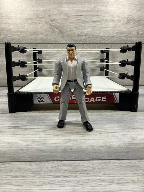 ACTION FIGURE WWF Wwe Mr Vince Mcmahon Jakks Wrestling Ttl Serie Tuta Grigia EUR 5,83 - PicClick IT