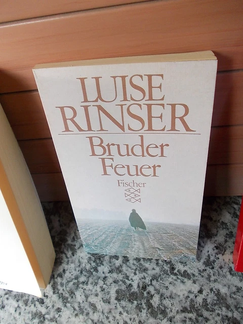BRUDER FEUER, VON Luise Rinser, aus dem Fischer Taschenbuch Verlag EUR 2,99 - PicClick DE